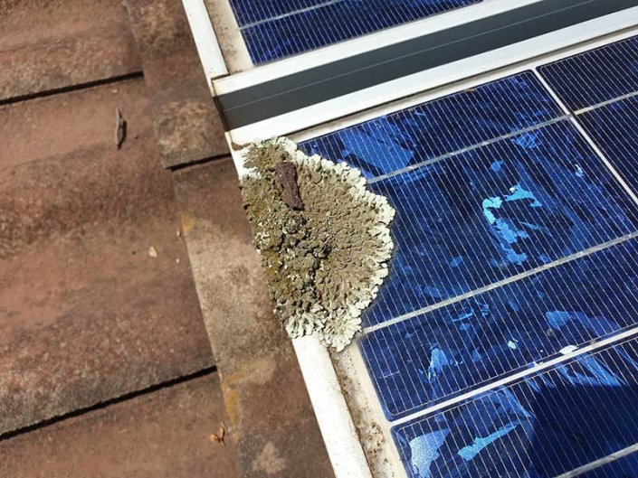 Solar Panel Cleaning - Solarmatic Sydney | 1300 980 640